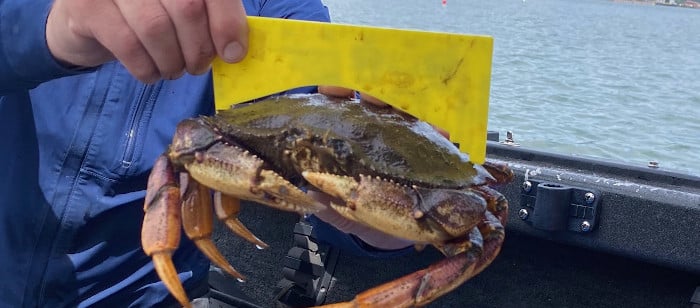 How To Go Crabbing On The Oregon Coast: The Ultimate Guide - The Wild ...